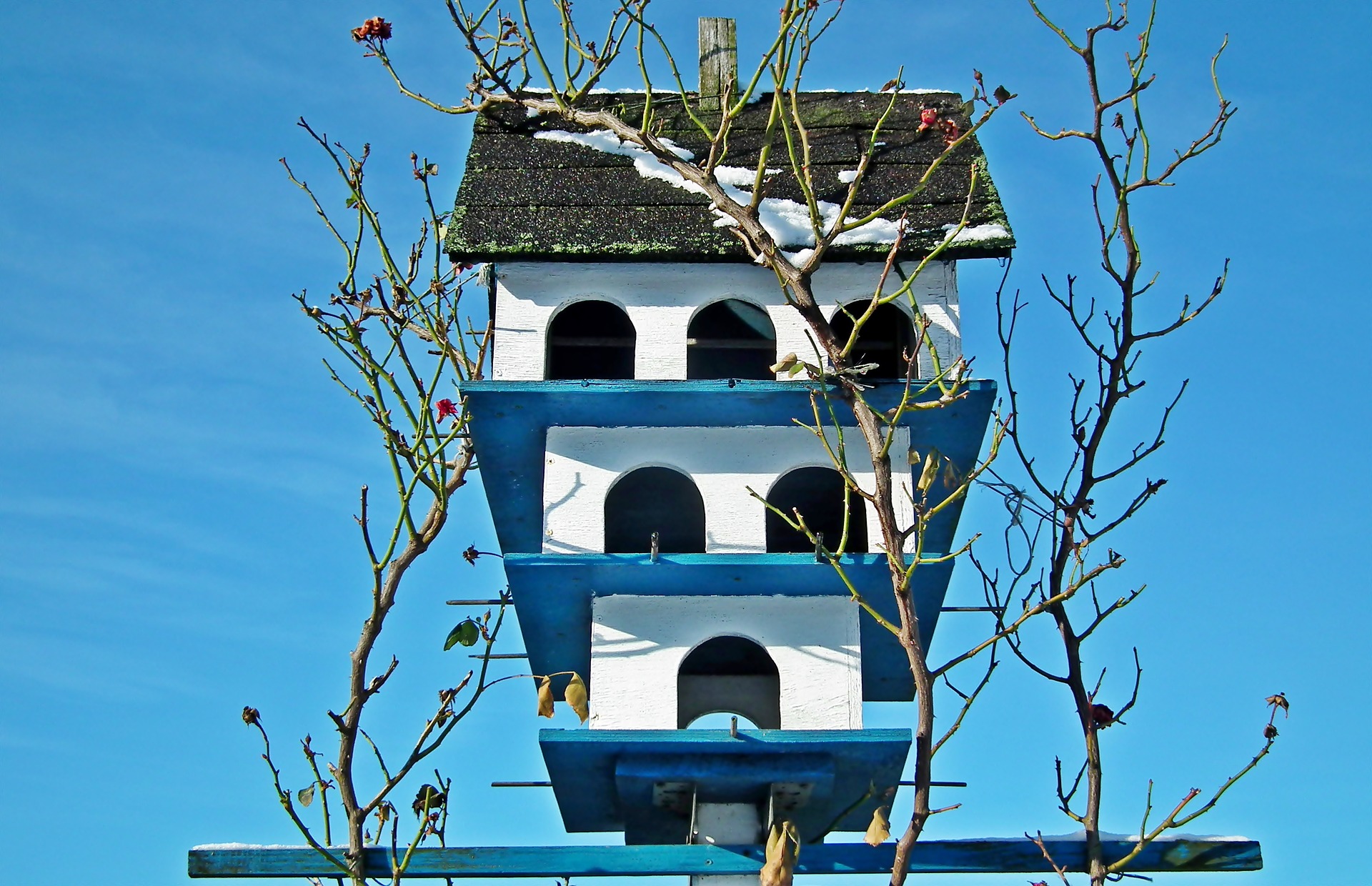 Landlords feel heat on changes in multiple occupation licensing | Ward ...